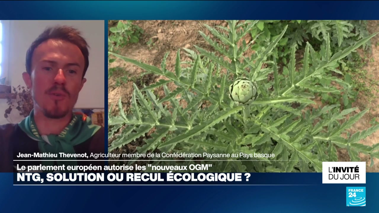 NTG : le parlement européen autorise les « nouveaux OGM