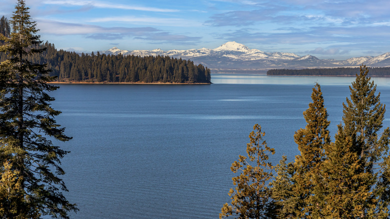 Forget Lake Tahoe, visit California's underrated gems with gorgeous ...