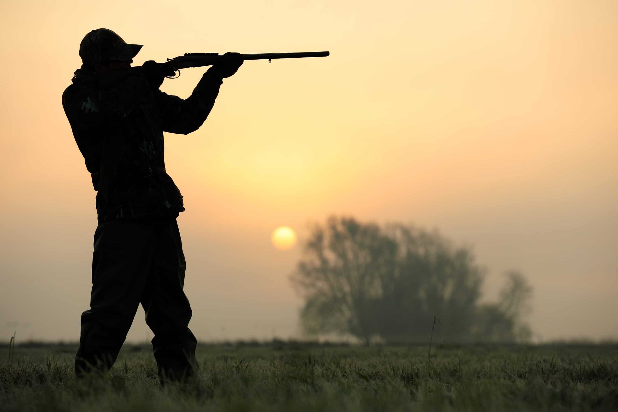 Collectors are paying millions for these 20 ultra-rare rifles