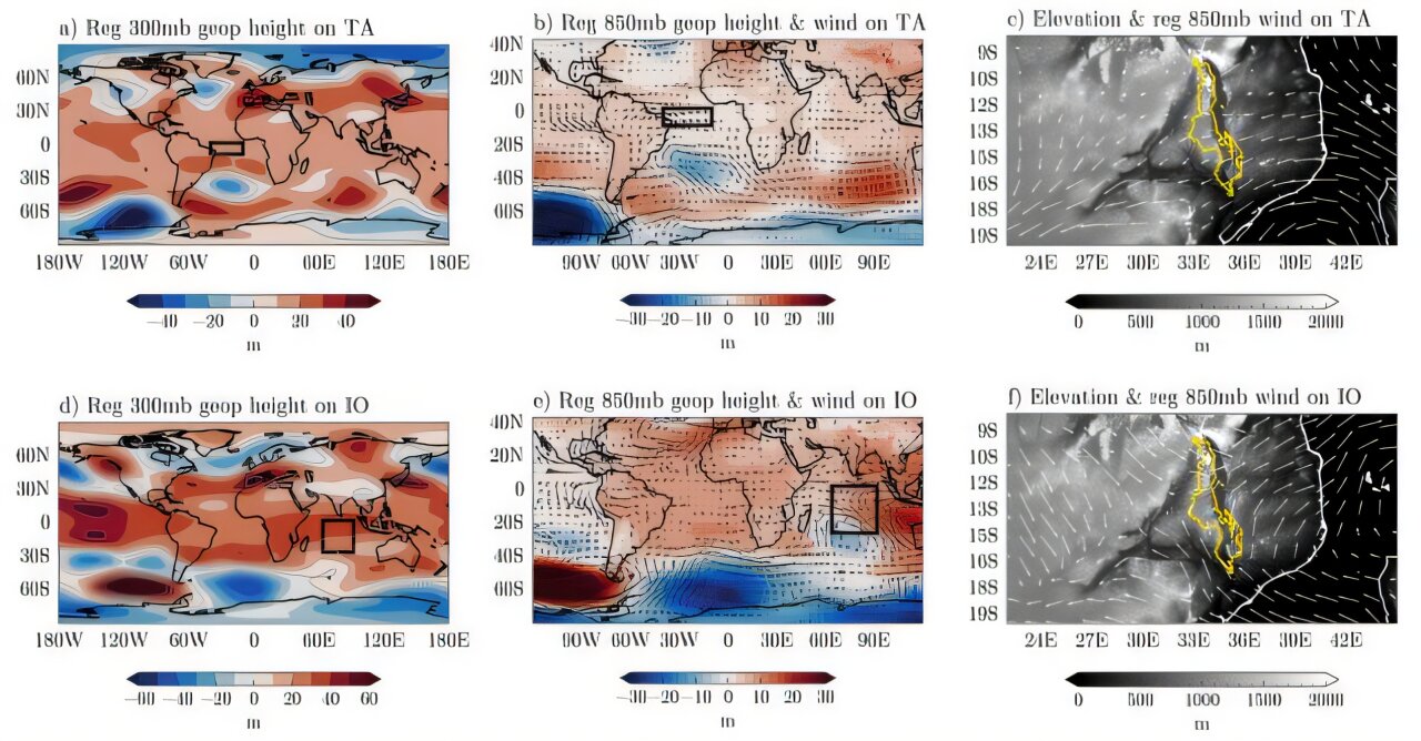 Tropical ocean temperatures may drive changes in malaria cases in Malawi