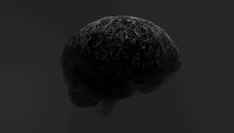 Microscopio de haz Bessel: imagen 3D del cerebro 100 veces más rápida
