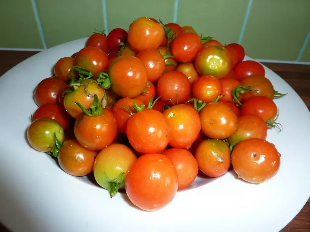 13 vegetables that are healthier boiled - and the truth should alarm ...