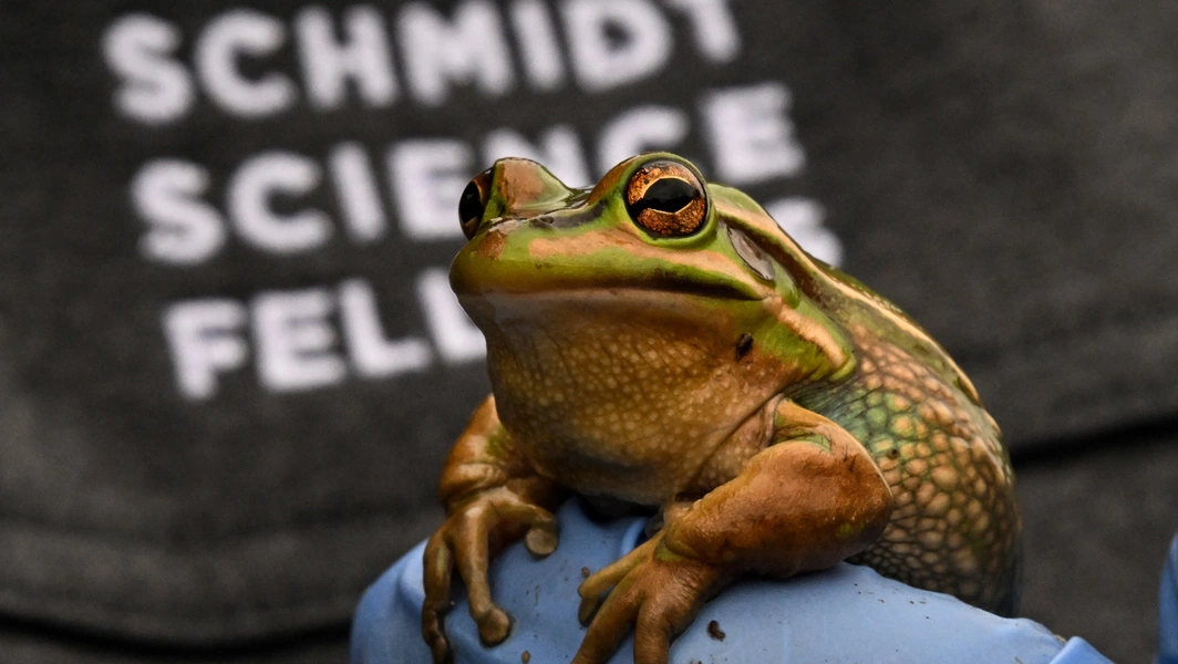 How animals adapt to a changing climate