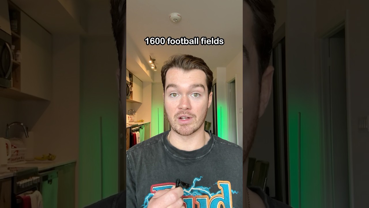 Discover how a giant underground fungus became Earth’s largest organism