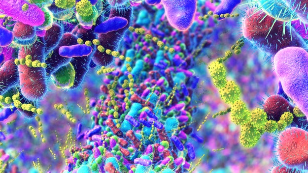 Doctors are warning us to pay attention to these 5 signs of bowel cancer