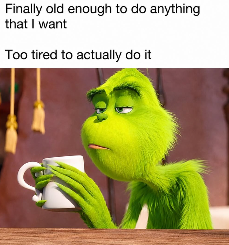 22 premium-grade memes for maximum mood enhancement