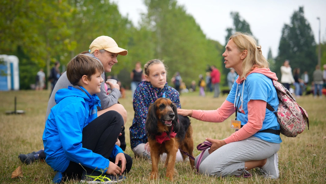 Experts outline safe steps for introducing rescue dogs to homes with ...