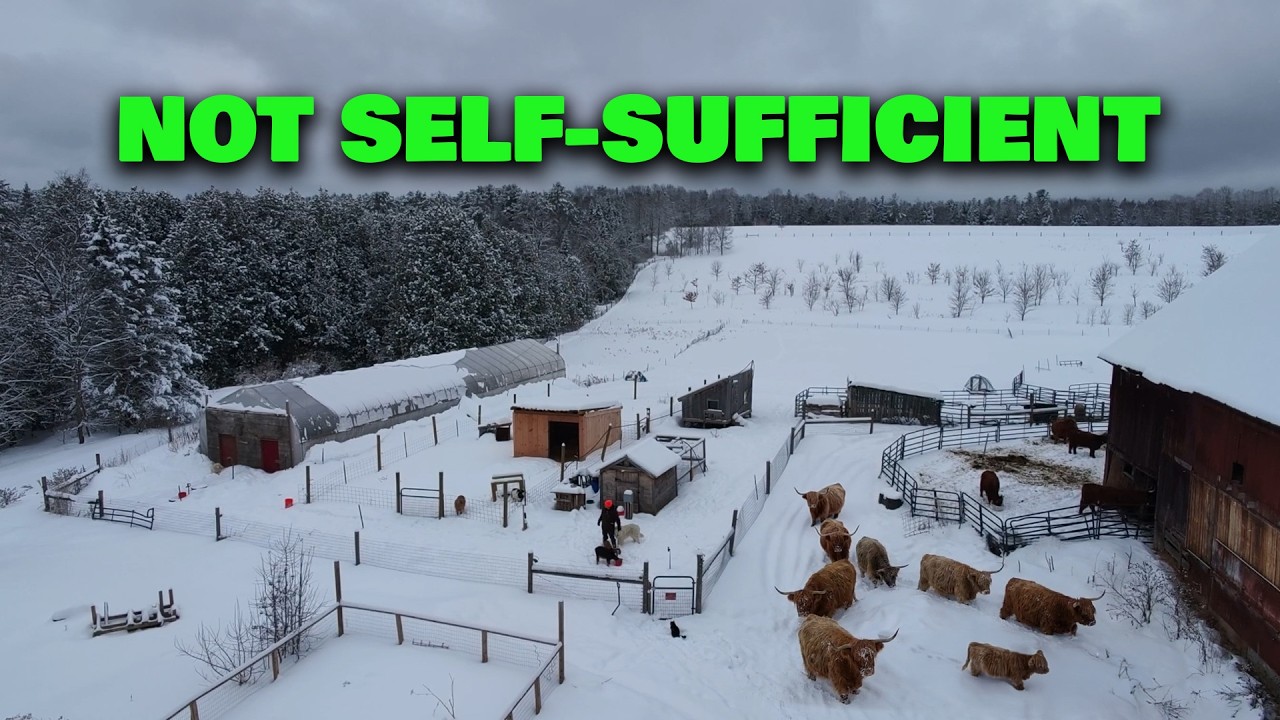 See how frigid winter weather forces a tough farm reality check