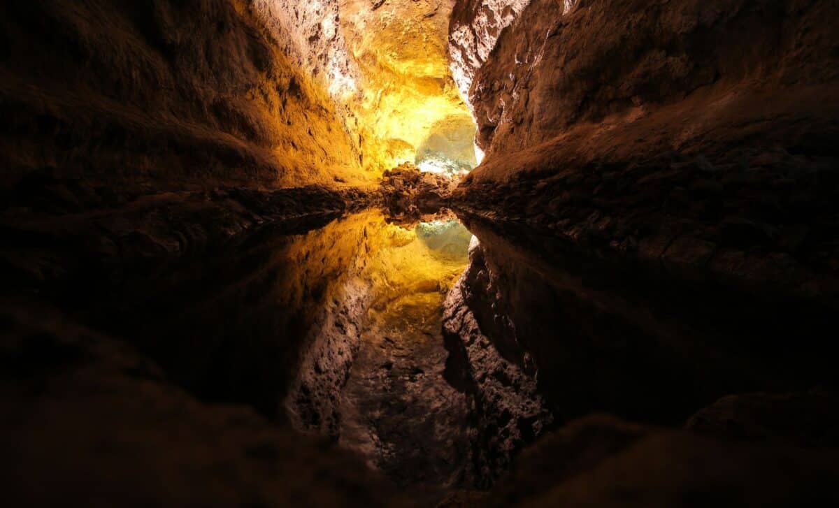 Scientists found microbes surviving nearly 5,000 feet underground in a ...