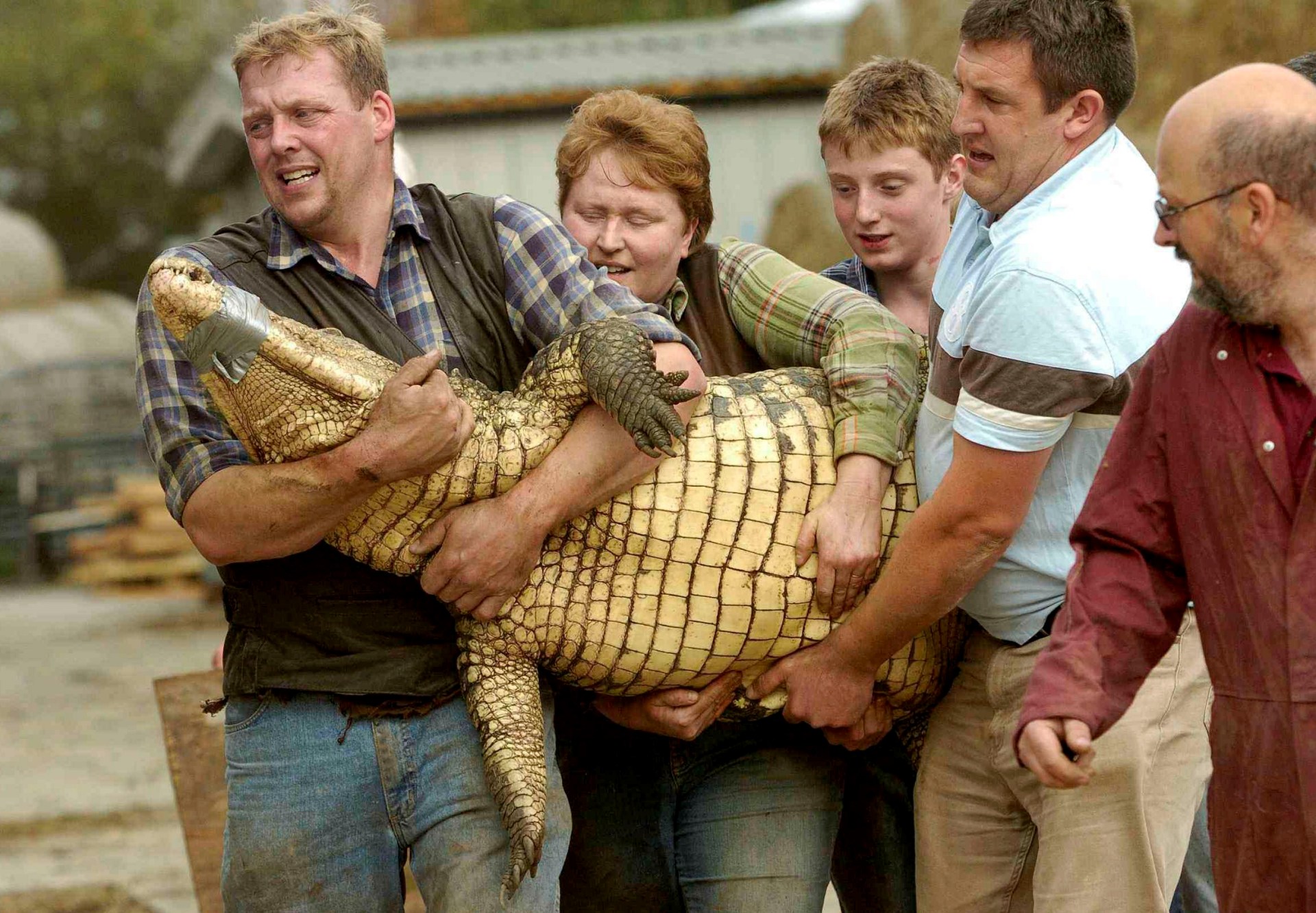 Heroic zookeeper jumped into crocodile pit after boy, three, was thrown in