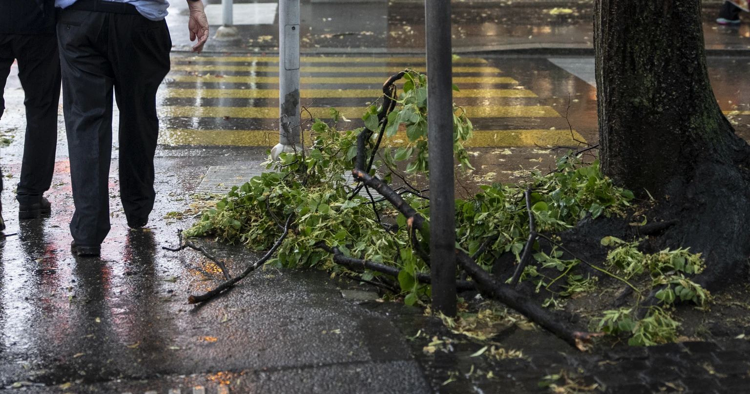 Beim Unwetter in Zürich von einem Ast getroffen: 16-Jährige stirbt im ...