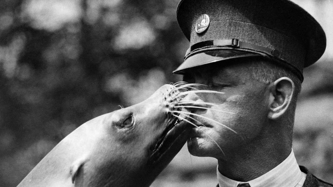 8 unlikely bonds between animals, humans, and celebrities