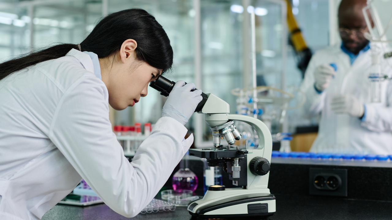 The world’s first ‘reverse-ageing’ human trial has begun — and it could ...
