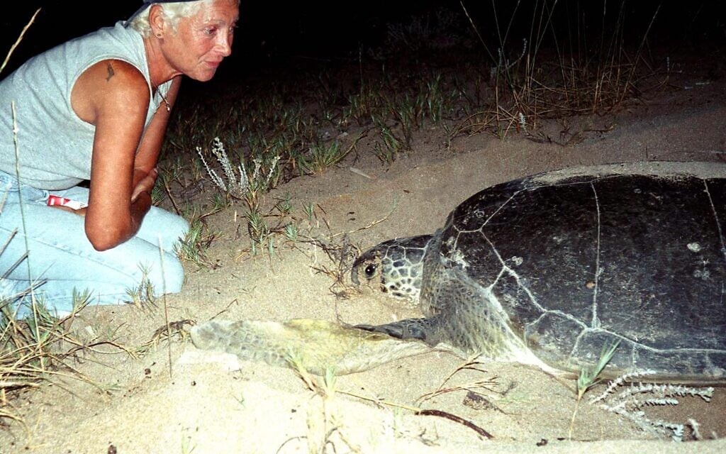 Renowned Lebanese turtle conservationist succumbs to wounds sustained ...