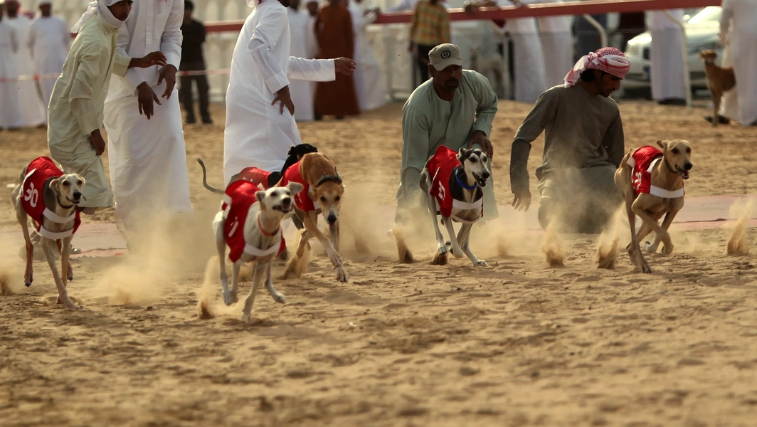 11 ancient dog breeds with enduring legacies