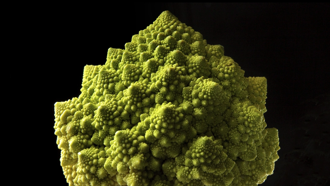 22 natural examples of fractal patterns