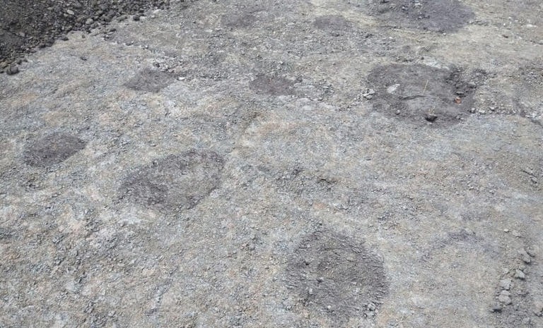 Archaeologists were digging in a German field for a wind project and ...