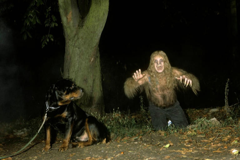 Woof! Rock's 17 most iconic dogs, ranked