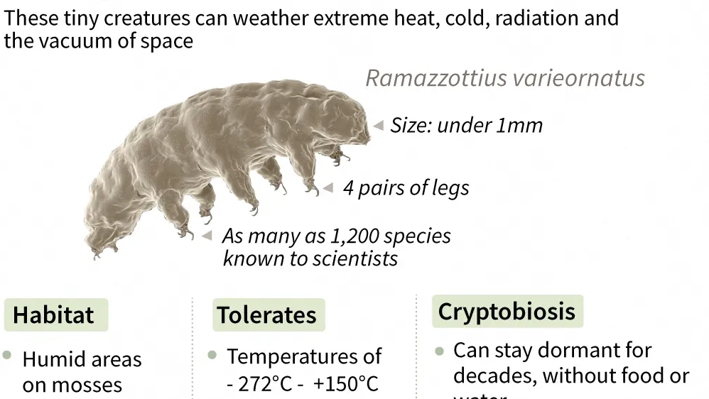 9 animals with extraordinary survival abilities