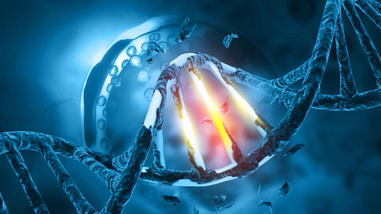 Science says this is how long your DNA will last after you die