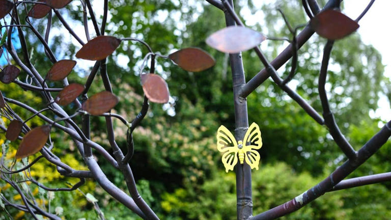 Bereaved mum's fears for Dundee baby memorial tree