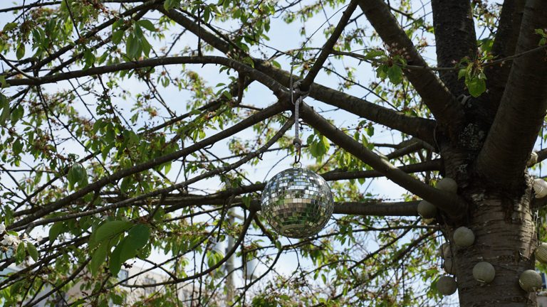 Gardeners are sticking disco balls in their garden – it’s not as ...