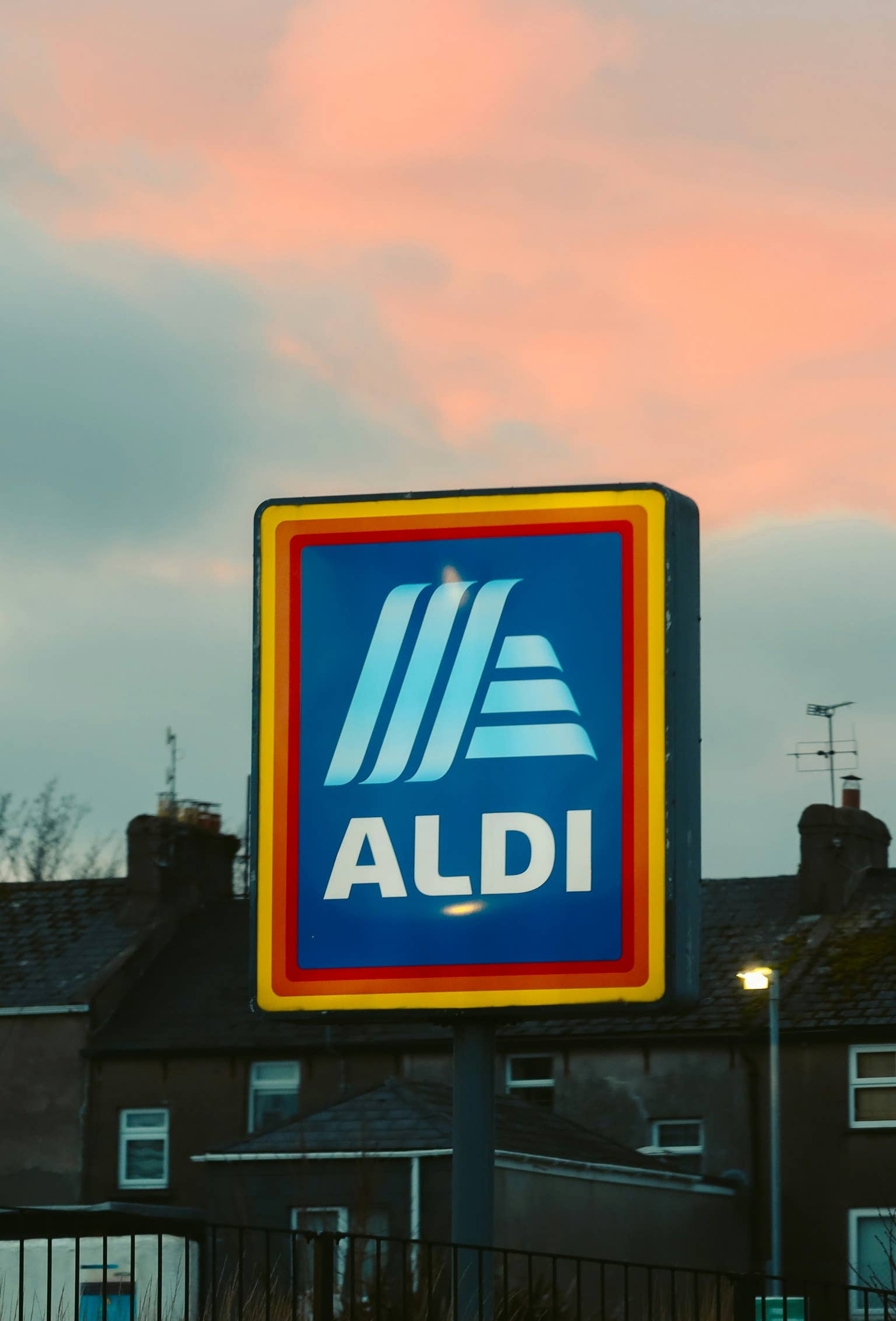 Aldi's solar fountains turn birdbaths into hummingbird havens for just $10