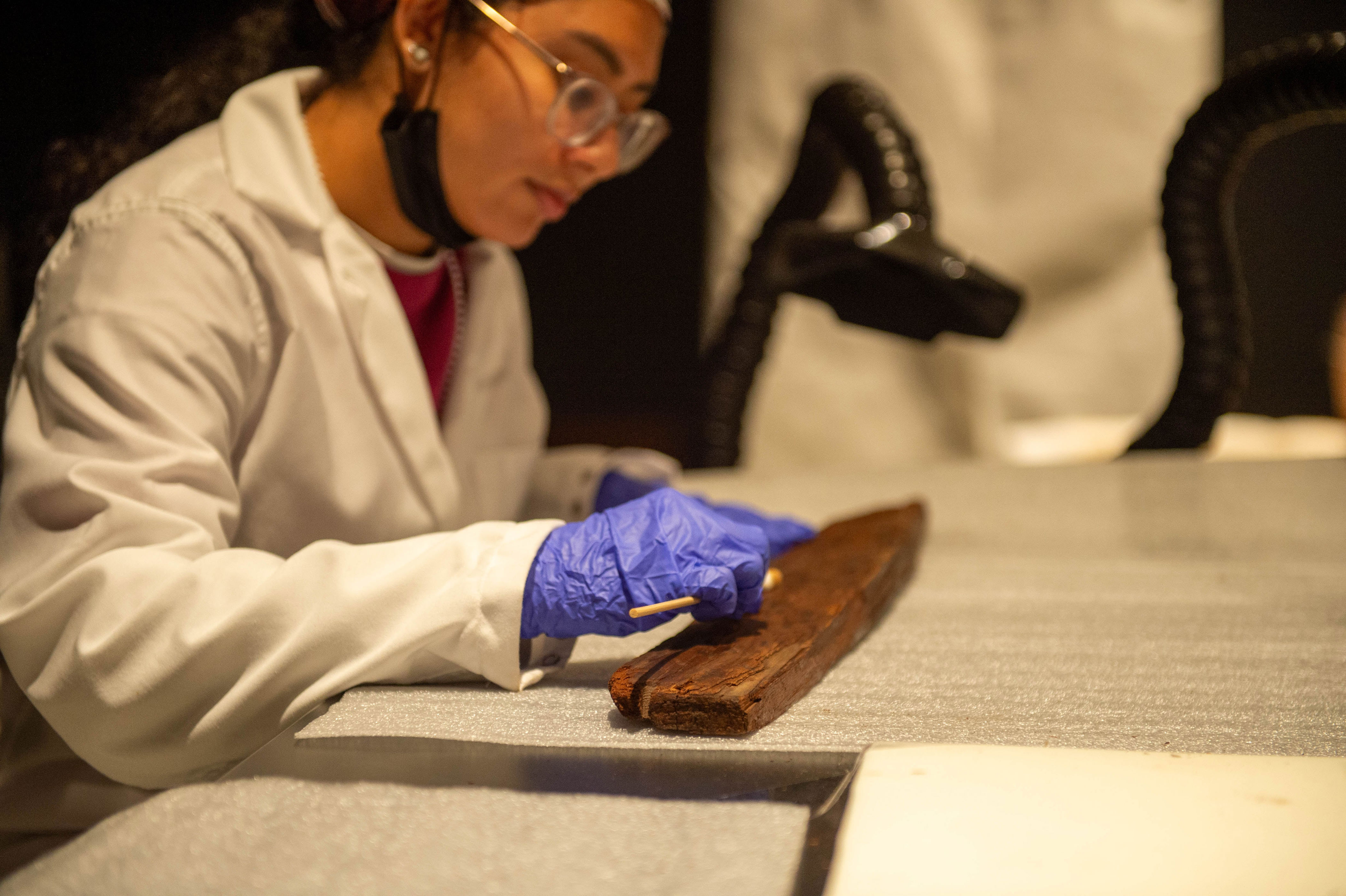 Carnegie Museum of Natural History to open 'Egypt on the Nile ...
