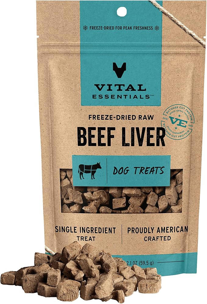 10 car essentials every dog owner needs