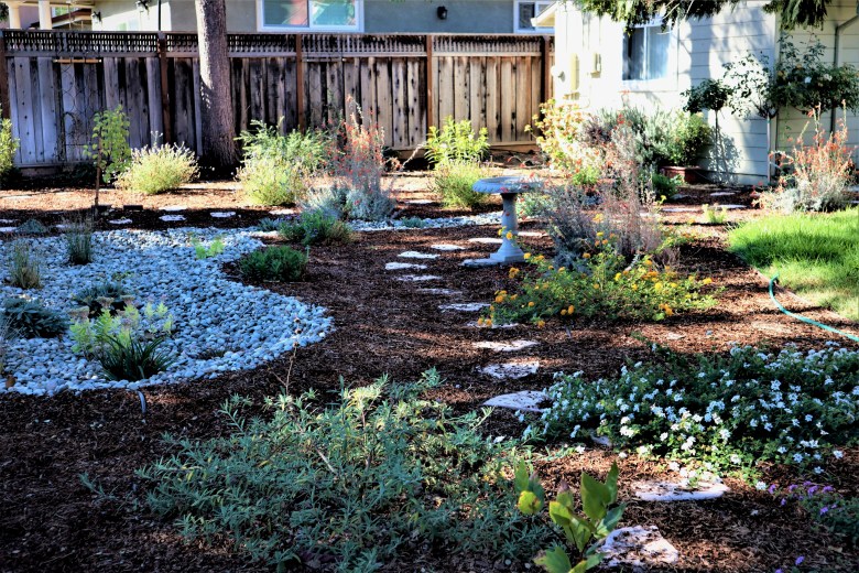 10 steps to building a rain garden that absorbs stormwater runoff