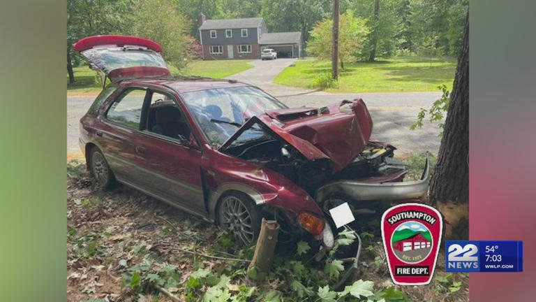 Vehicle crashes into tree in Southampton, leaving one injured