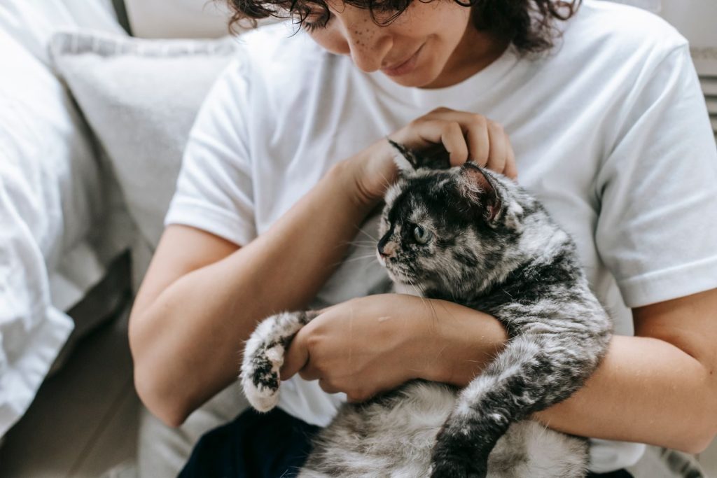 Could cuddling your cat when stressed actually make you feel worse?