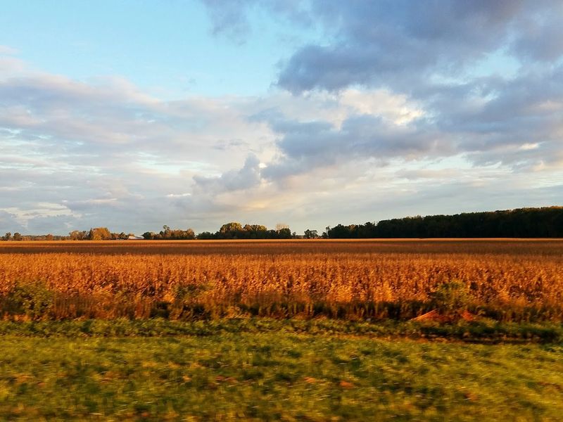 This sleepy small town in Indiana is secretly becoming the data center ...