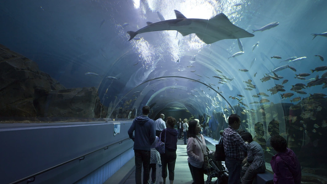 4 interactive aquariums across the United States