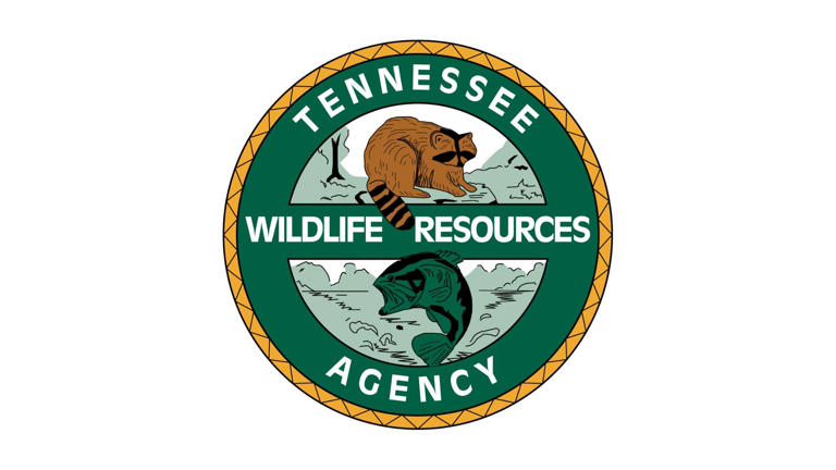 Middle Tennessee man dies after falling from boat on Barren Fork River ...