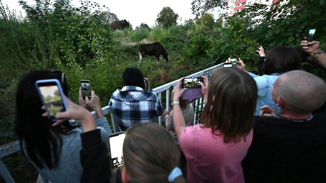 How wildlife quietly changes when we show up
