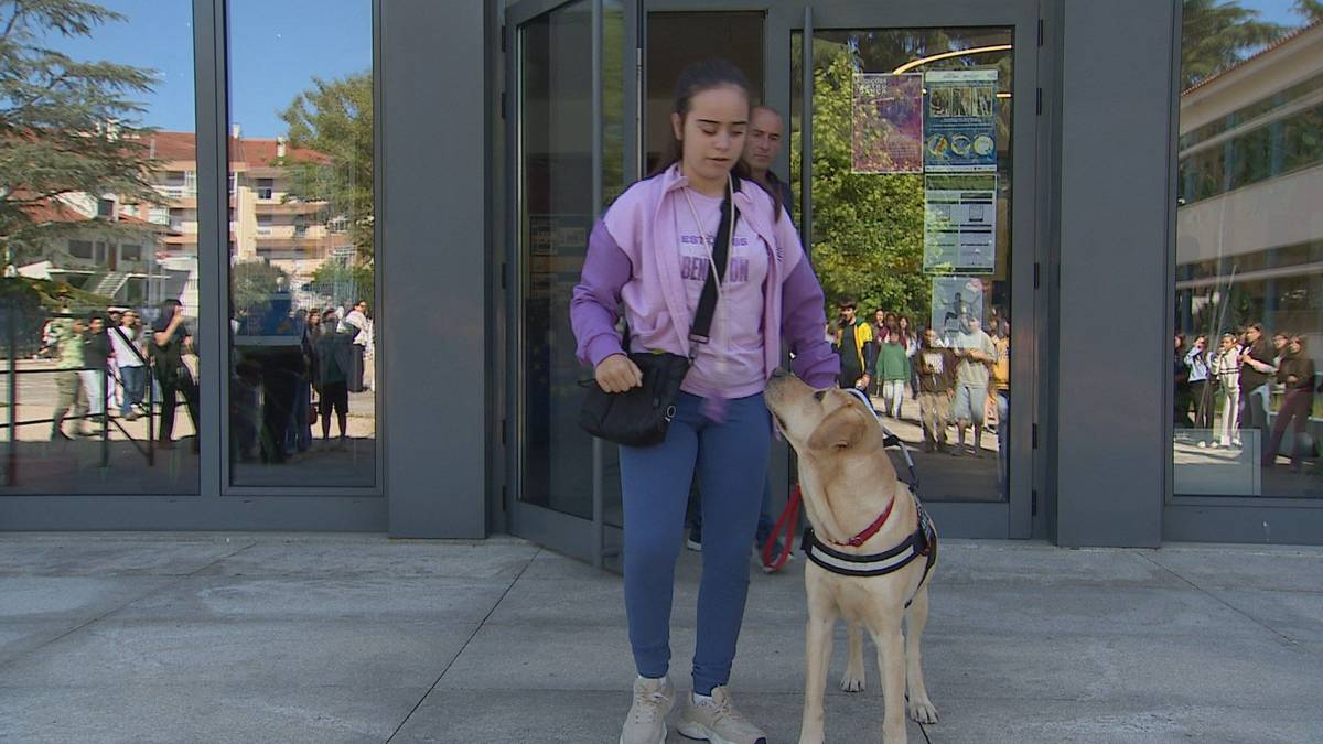 Adolescente cega de Viseu recebe cão-guia graças a parceria pioneira ...