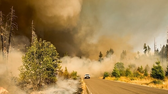 El Monte 'River Fire': Wildfire near Rosemead Blvd threatening ...