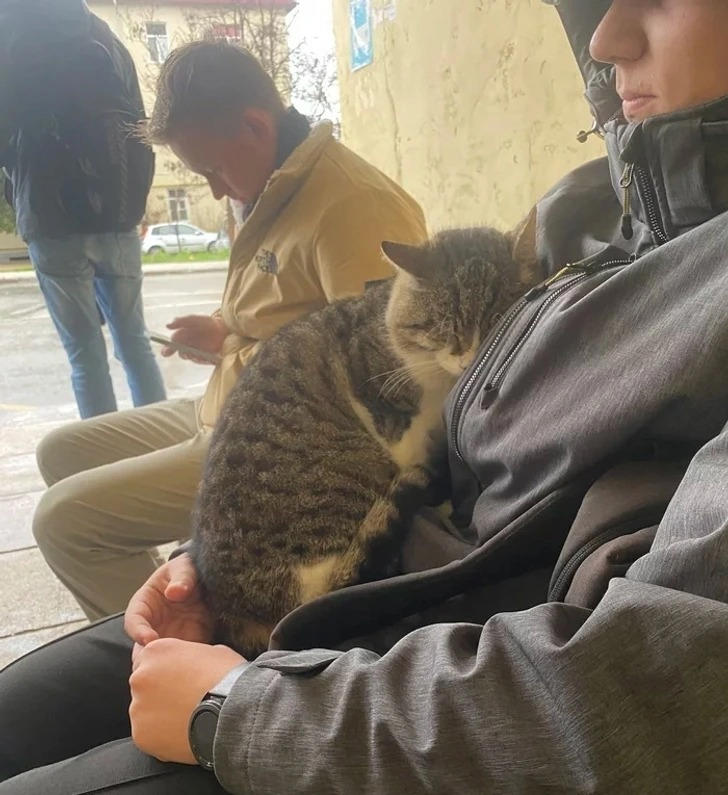 14 bright stories that teach us kindness is the most universal language ...