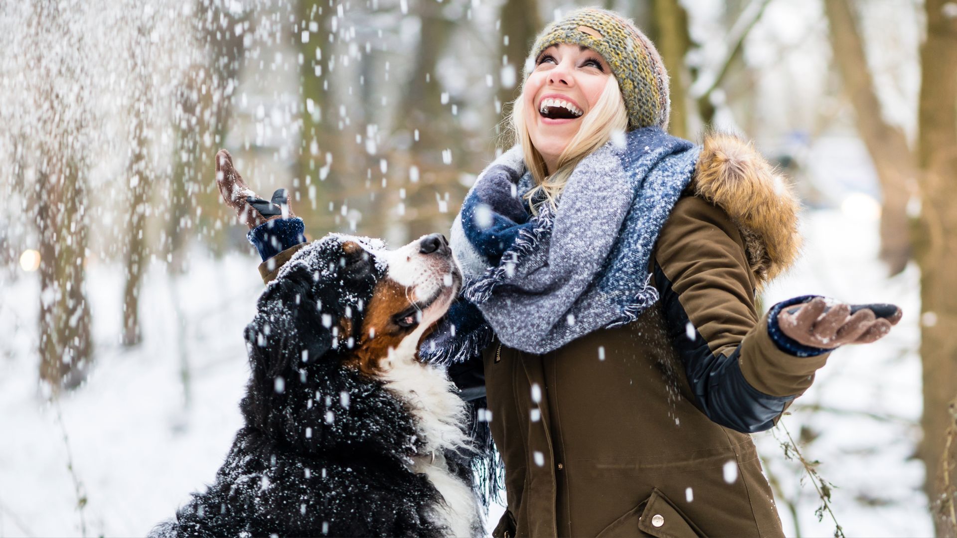 Best dog breeds for cold climates