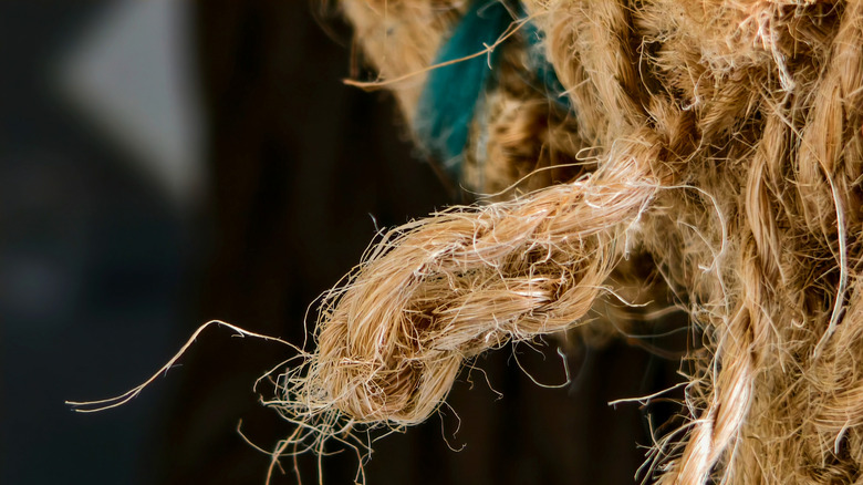 What's the difference between jute and burlap? (And which is right for ...