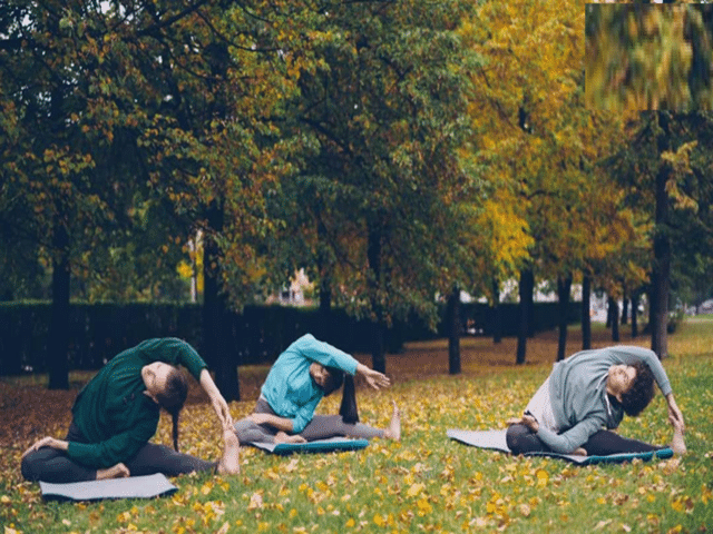 Yoga and Alzheimer's disease: Forgetfulness will be eliminated and ...
