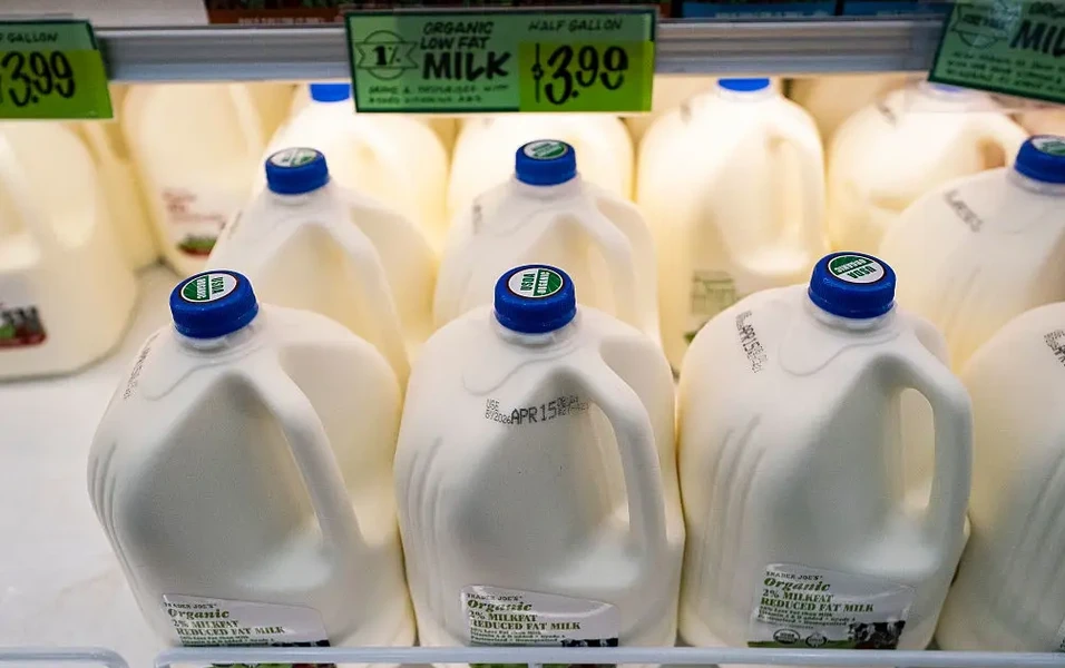 Finding your perfect milk match for health