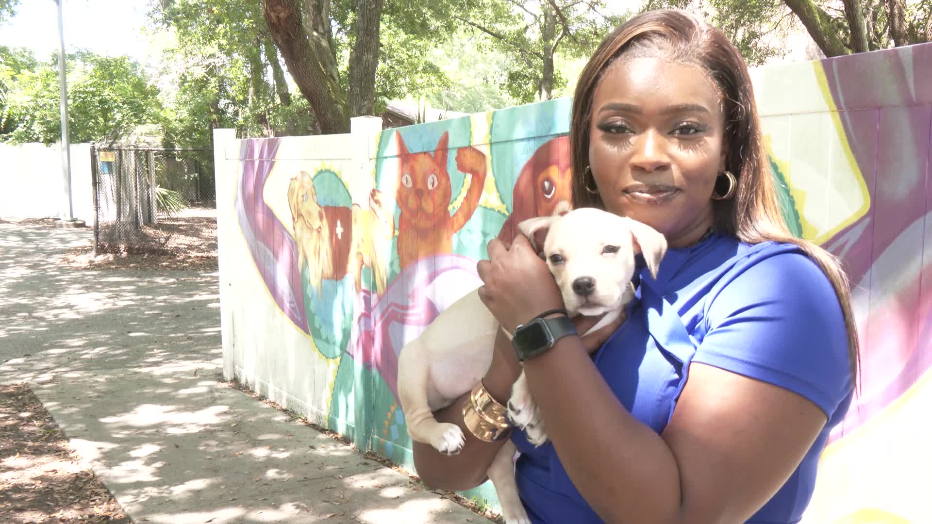 Pick Me SC wraps with nearly 1,600 adoptions across the state