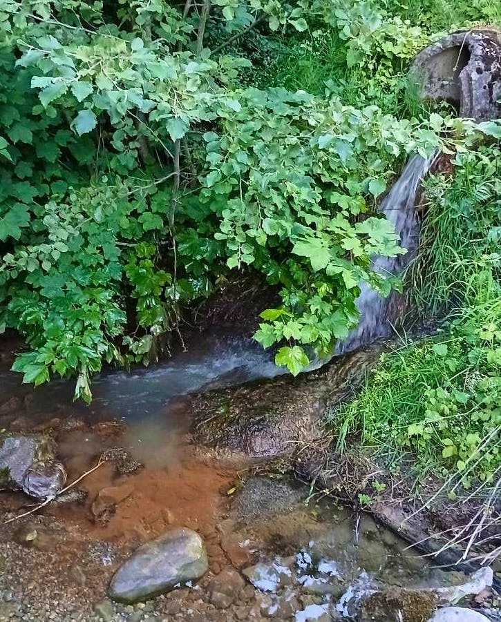L'Albeuve interdite à la baignade après une pollution