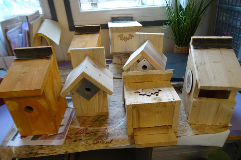 Generous Heckmondwike craft group creates new homes for birds and bats ...