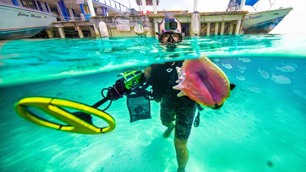 Diving for treasure: Epic finds await!