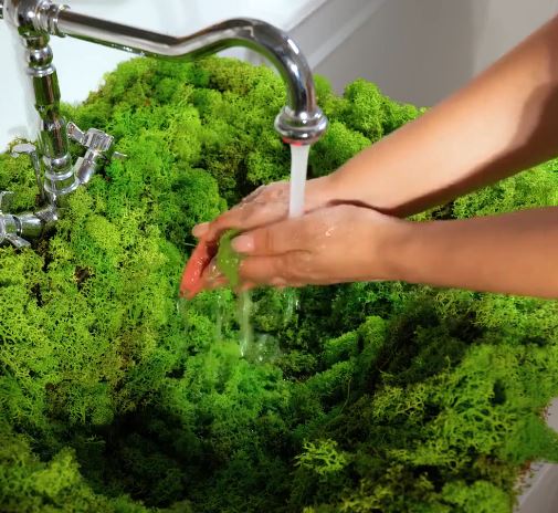Creative moss craft ideas to bring nature indoors!