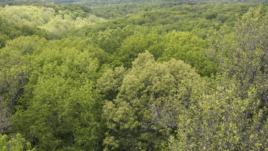 4 ancient nature preserves of Indiana
