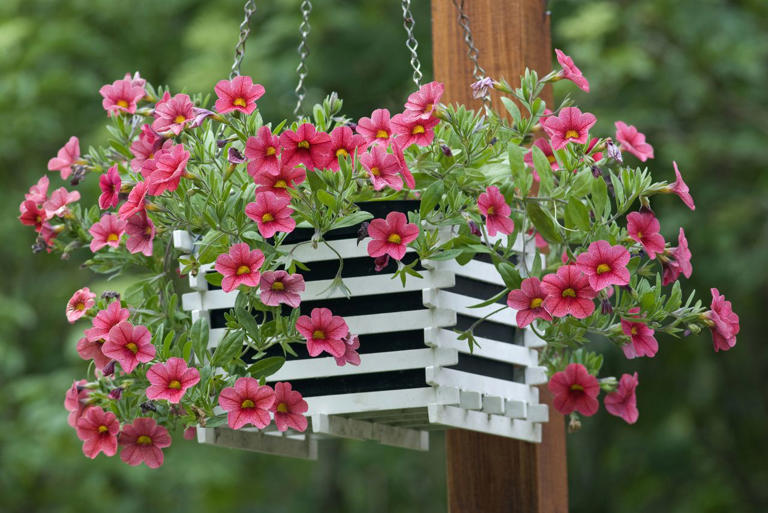 6 mini moves to instantly make your garden more beautiful